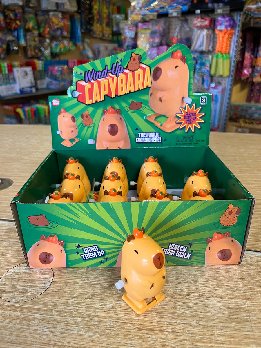 2.75” Wind Up Capybara (1 Dozen) – Wagner Trading, Inc.